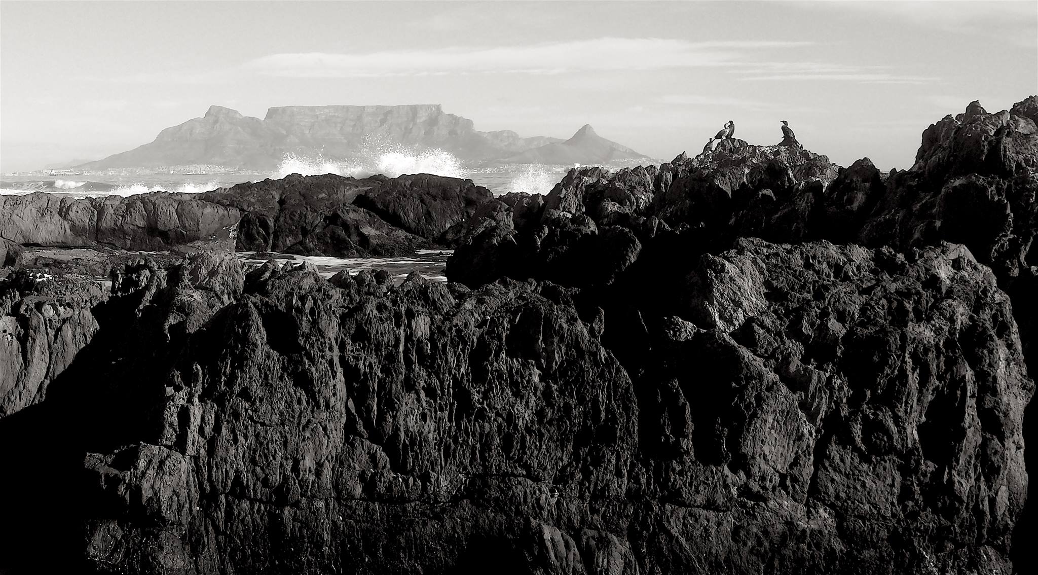 Writers on Location – Henrietta Rose-Innes on Cape Town | The Literary Sofa